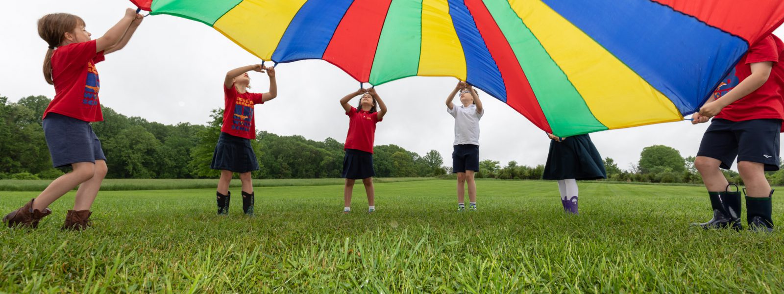 Seneca Academy | Celebrating 35 Years of Turning Experience into Knowledge