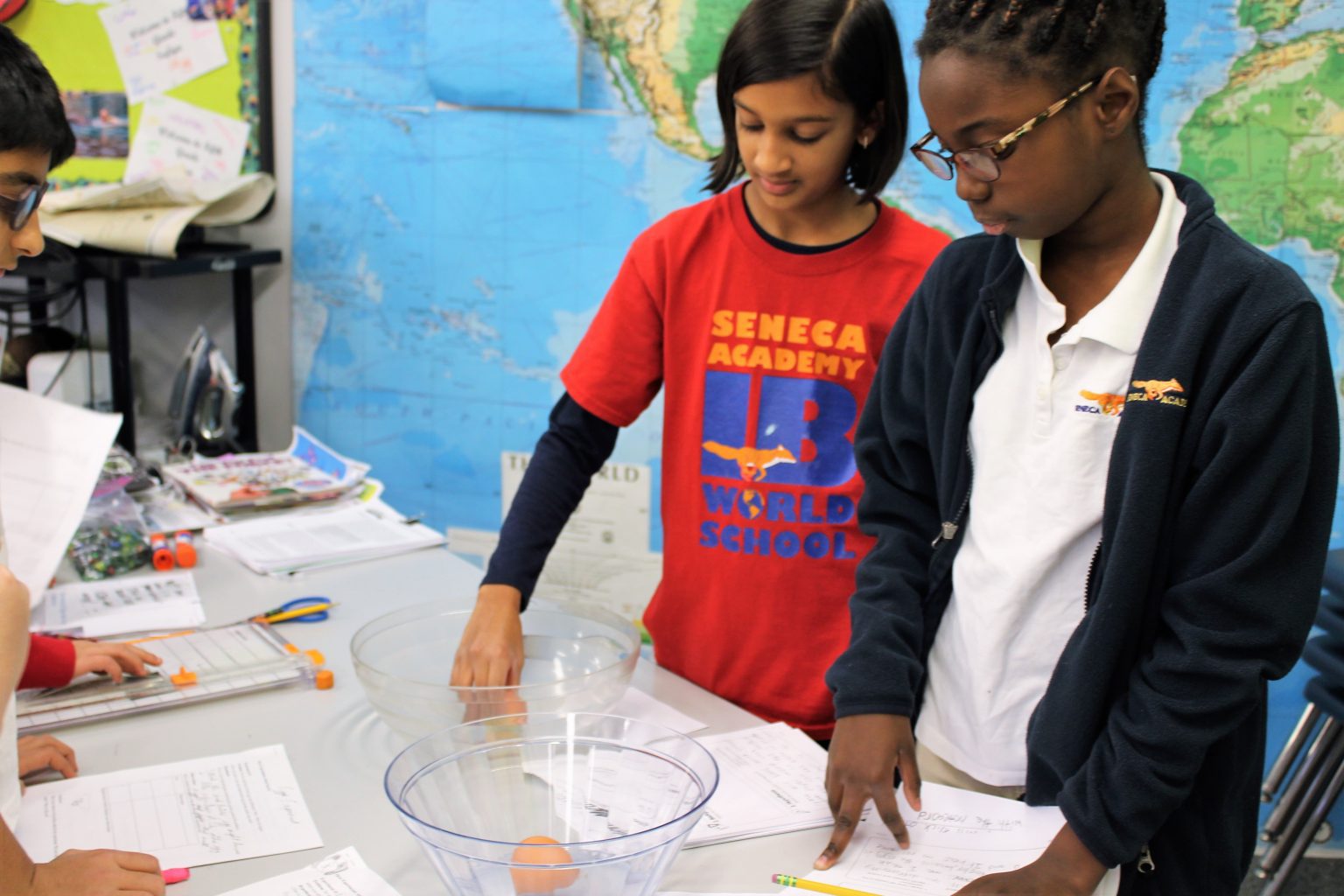 Science Curriculum For Elementary Students Seneca Academy