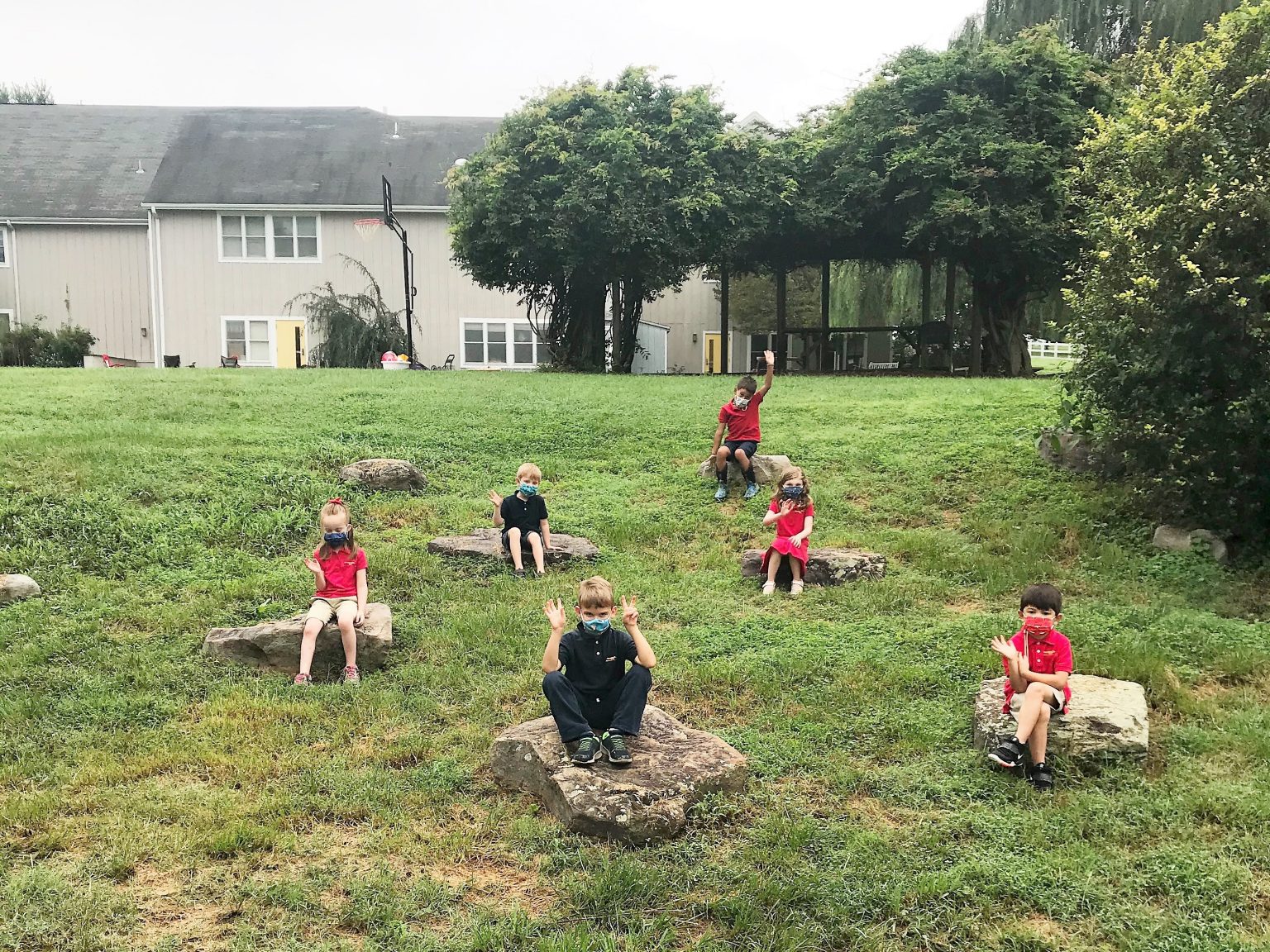 Elementary Curriculum: Written and Taught Curricula - Seneca Academy