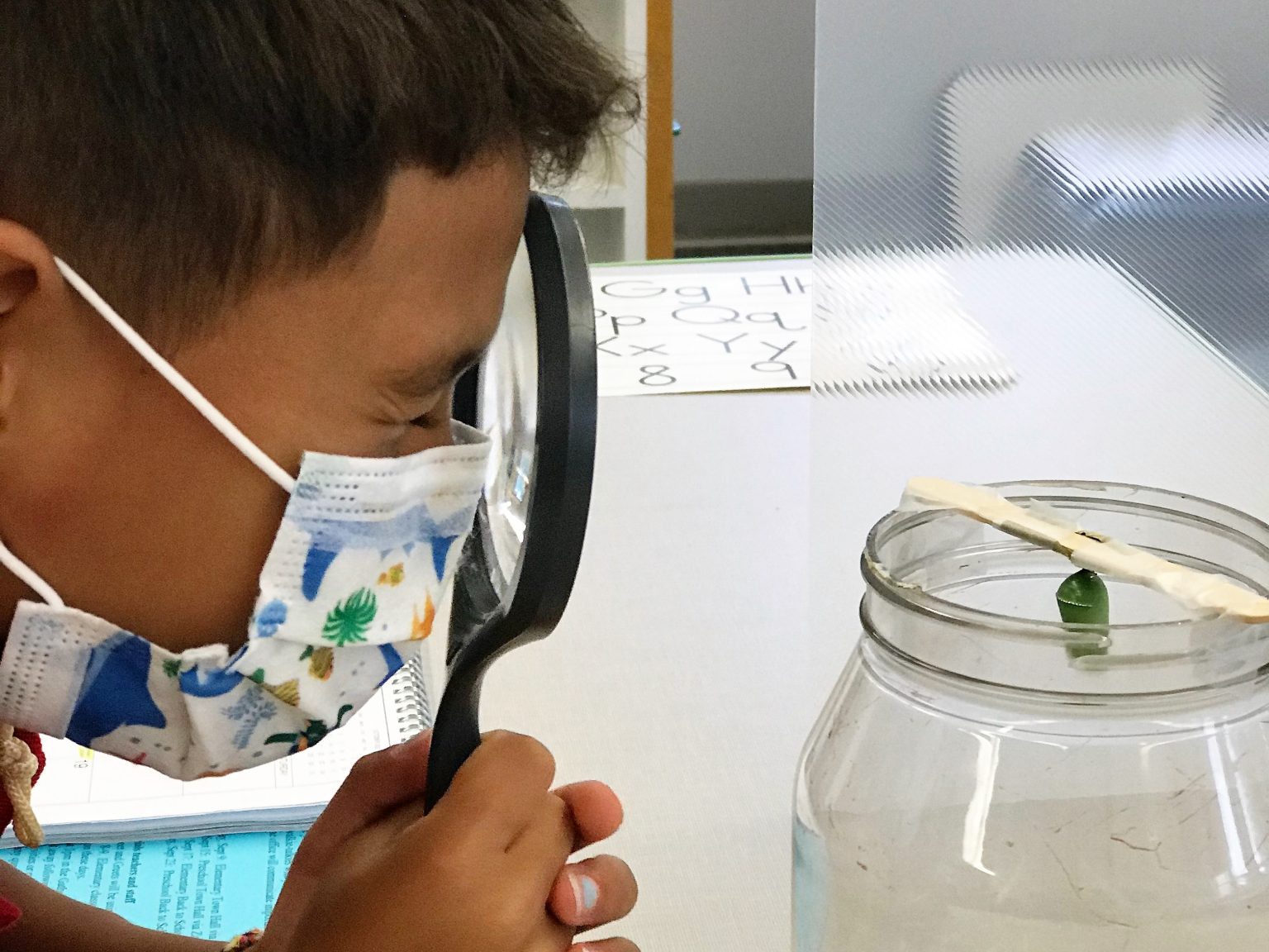 Elementary Curriculum: Written and Taught Curricula - Seneca Academy